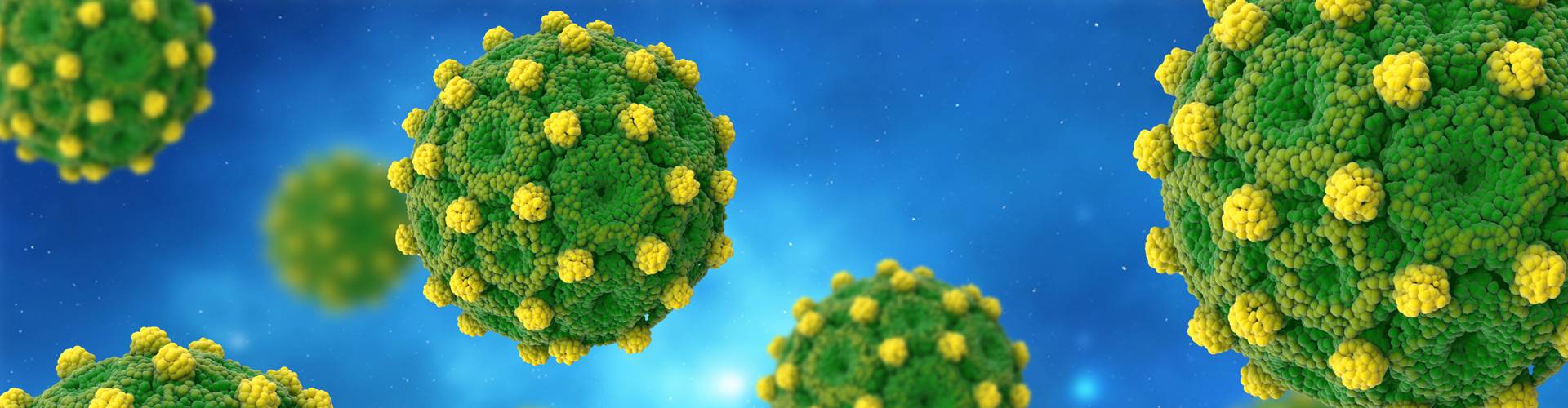 TherVacB - Publications about Hepatitis B Cure